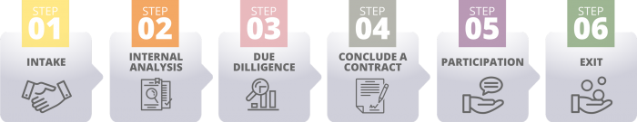 Focus & Investment process - Borski Fund